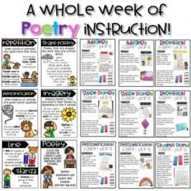 Storybook STEM {Special Camping Edition} - Teach Outside the Box