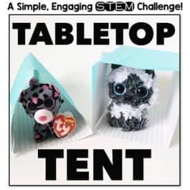 Storybook STEM {Special Camping Edition} - Teach Outside the Box