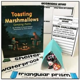 Storybook STEM {Special Camping Edition} - Teach Outside the Box