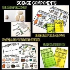 Storybook STEM Science {PLANTS} - Teach Outside the Box